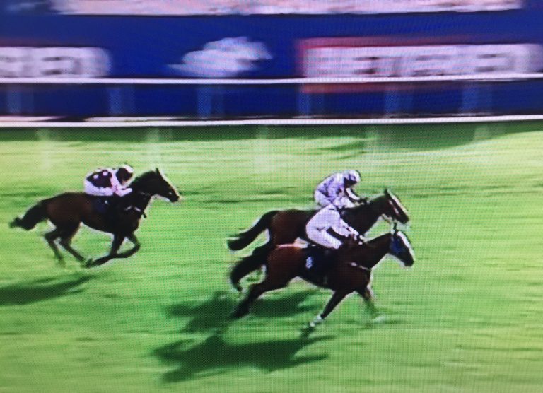 Jockey News – Page 29 – Amateur Jockeys Association of Great Britain