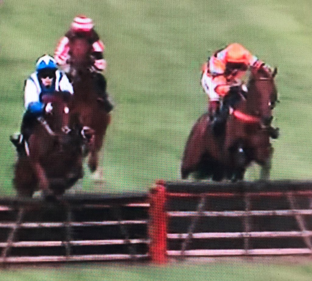 Aine O’Connor scores at Newton Abbot with SEROSEVSKY – Amateur Jockeys ...