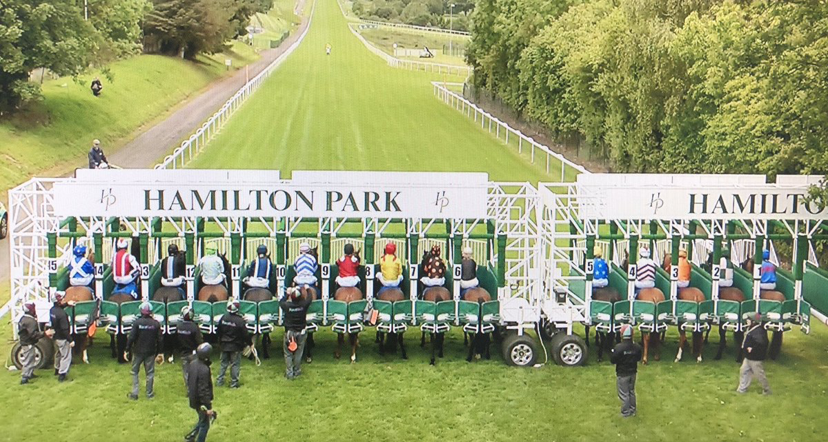 James Harding flies home at Hamilton! – Amateur Jockeys Association of ...